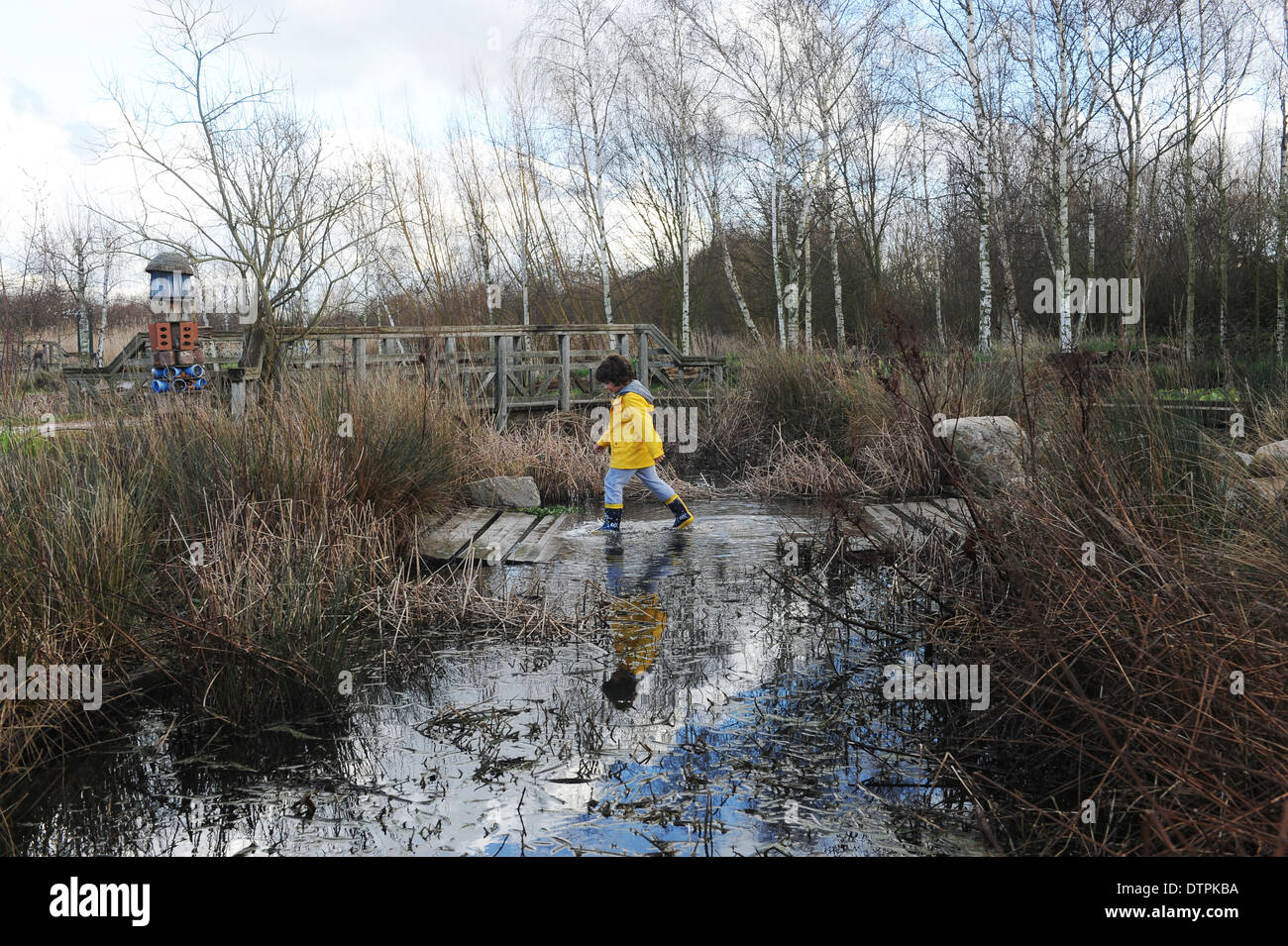 London Wetland Centre Stock Photos & London Wetland Centre Stock Images ...