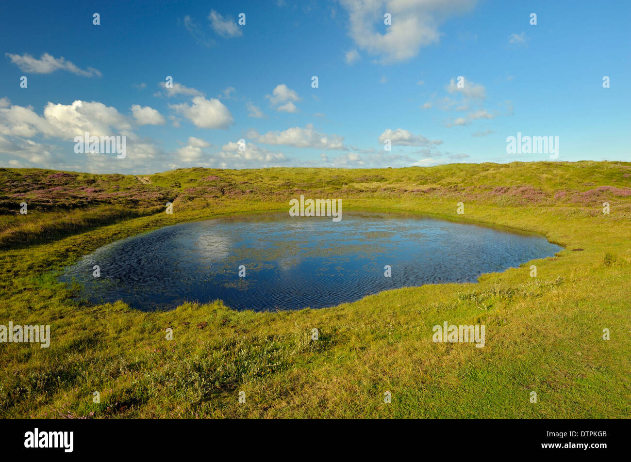 Pond, nature reserve De Bollekamer, part of national park Duinen van ...