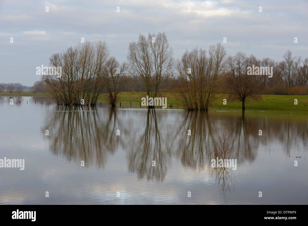 Rhine flood hi-res stock photography and images - Alamy