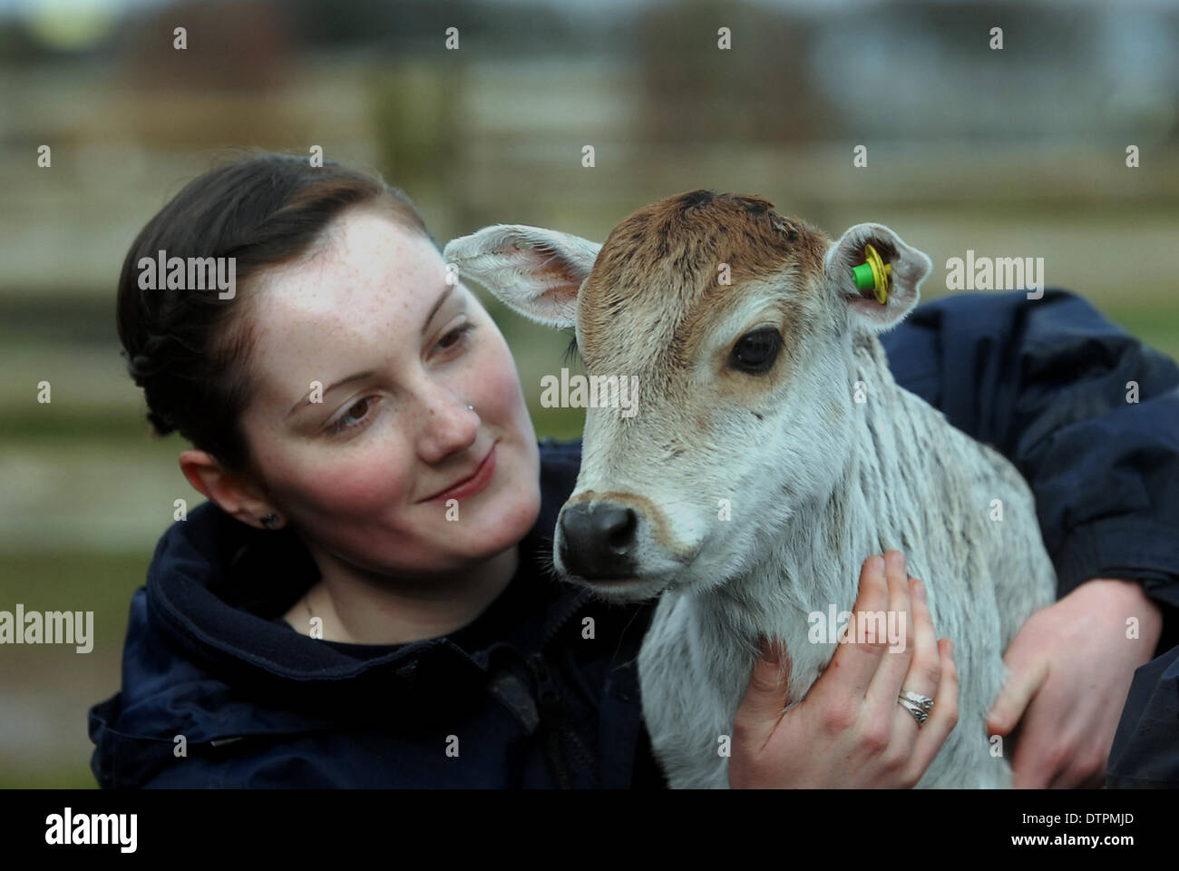 Smallest form hi-res stock photography and images - Alamy