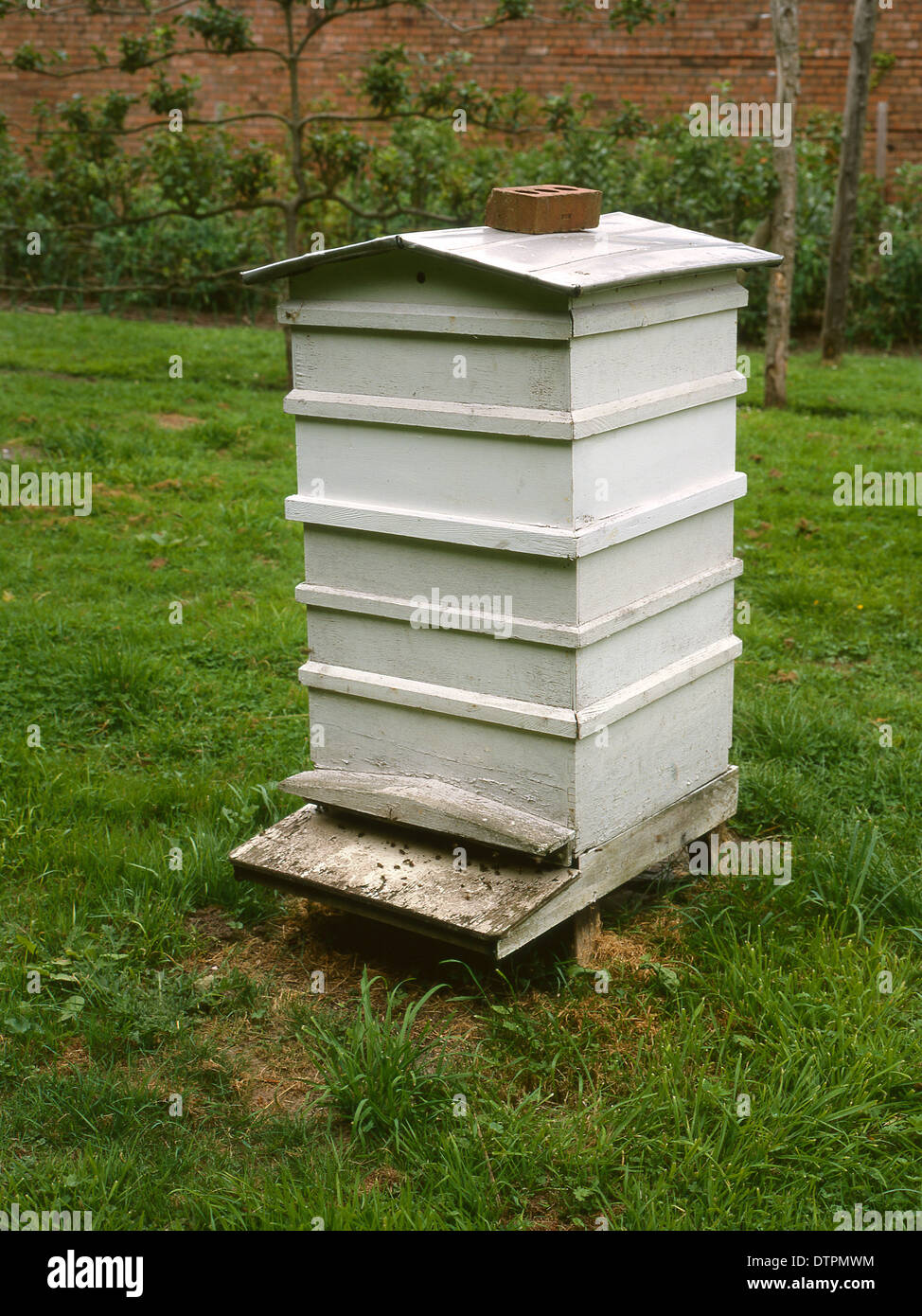 Traditional wooden beehives on a farm. honey collection honey comb ...