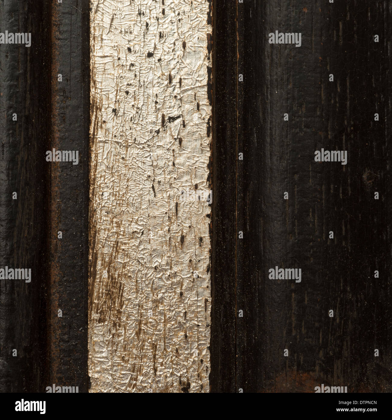 Wood closeup square shot texture for background Stock Photo - Alamy