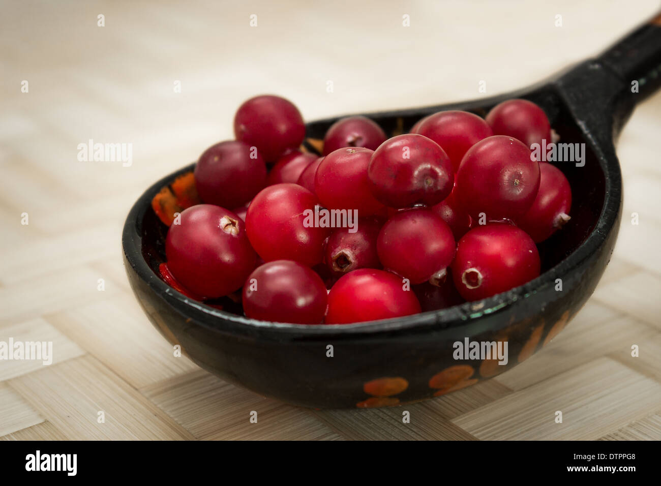 Cranberries fresh ripe organic hi-res stock photography and images - Alamy
