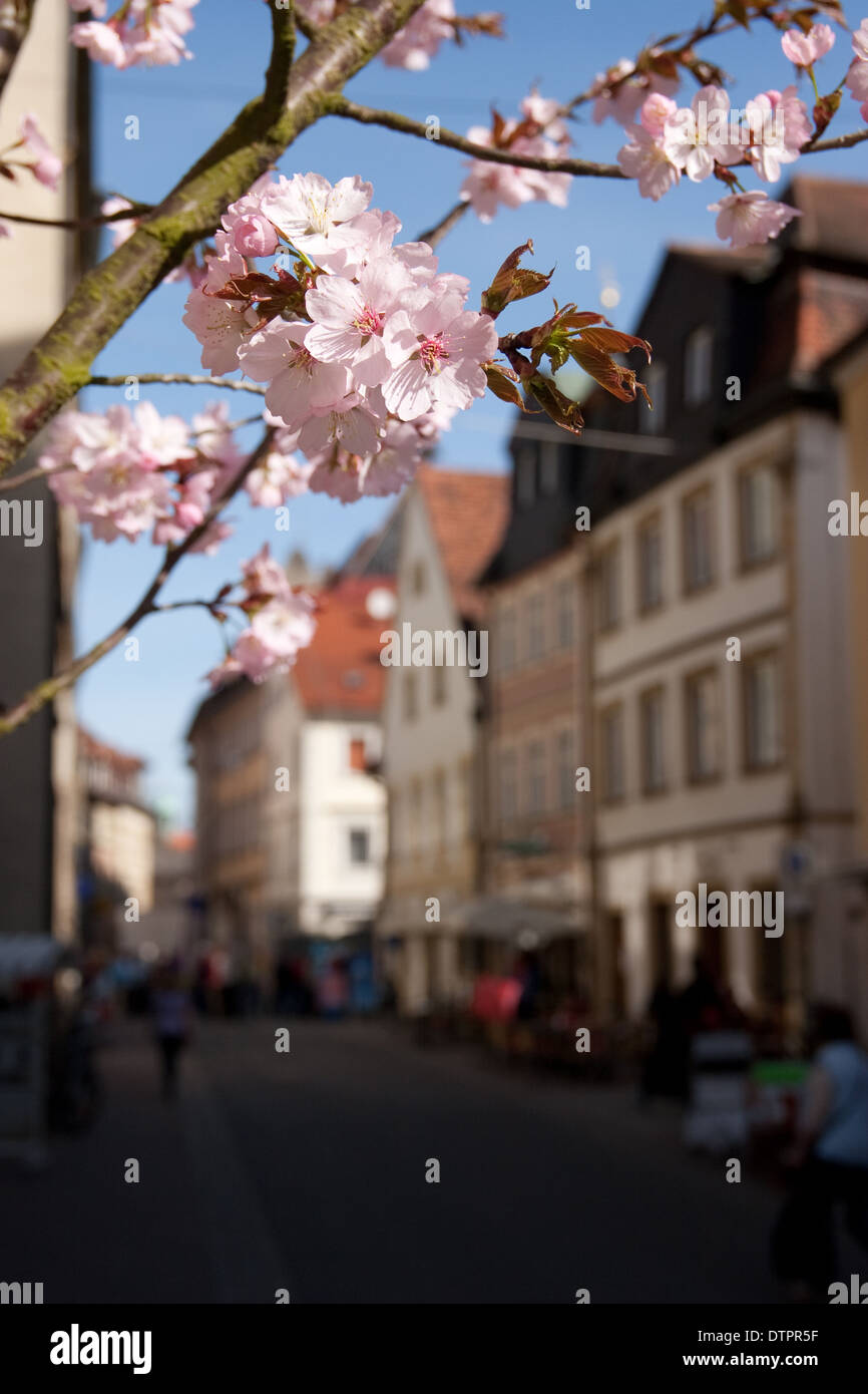 Pedestrian zone, Bamberg in spring Stock Photo - Alamy
