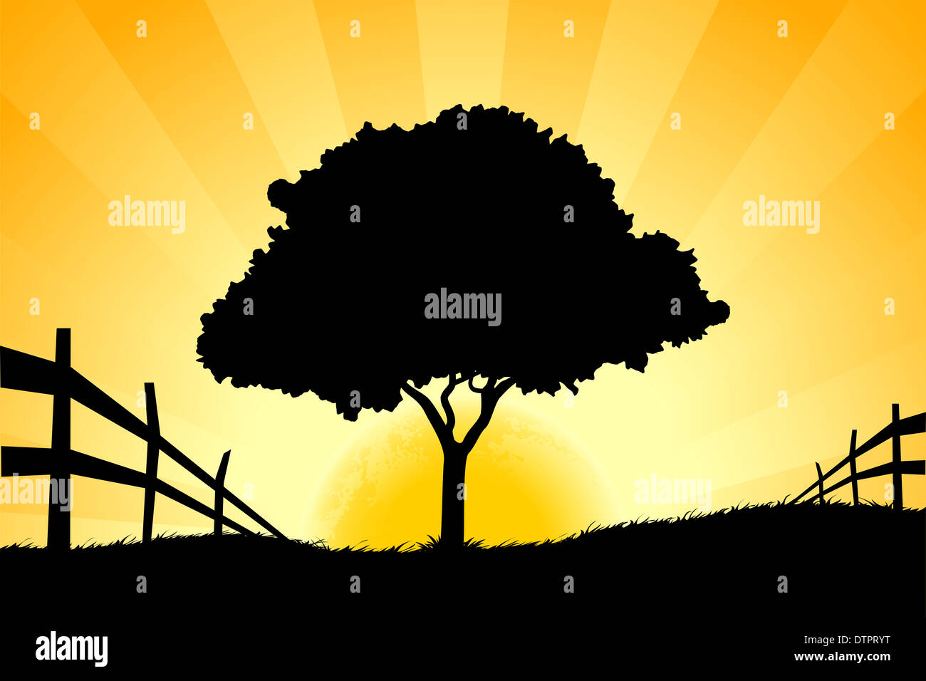Amazing Landscape with Grass, Sun and Tree Stock Photo - Alamy
