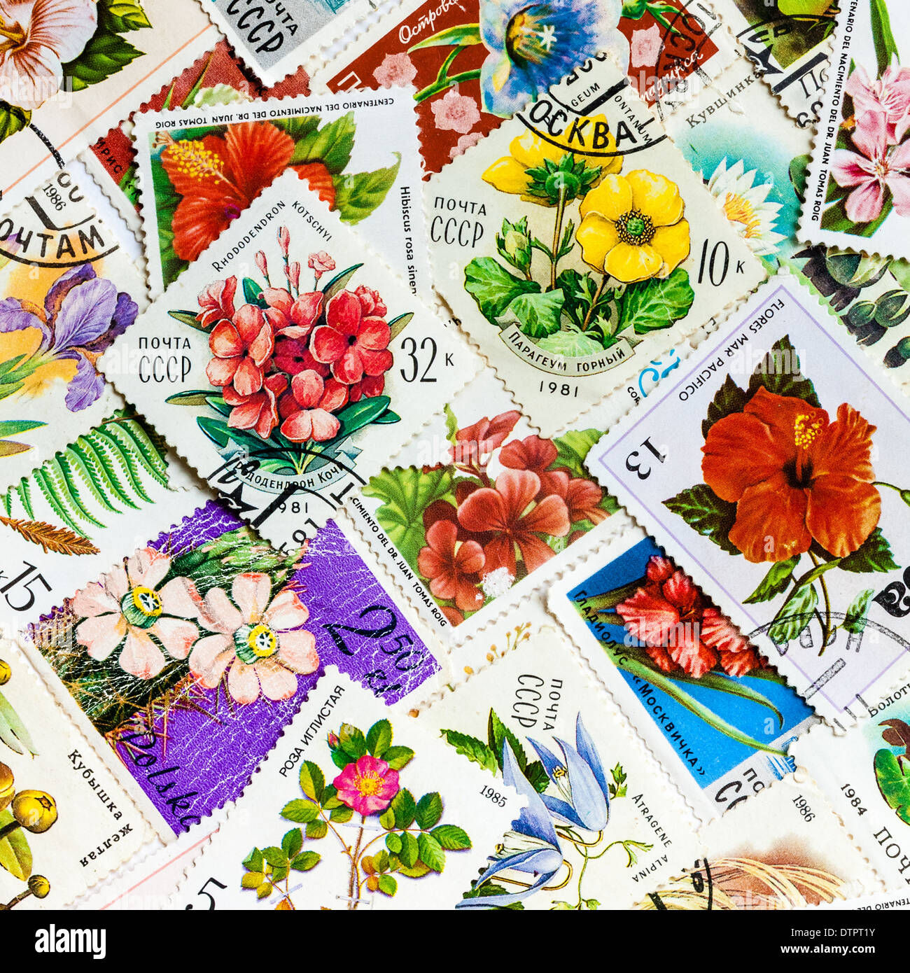 Paper Postcards USSR Photo art 1986 Soviet Union Vintage Postcard Red ...