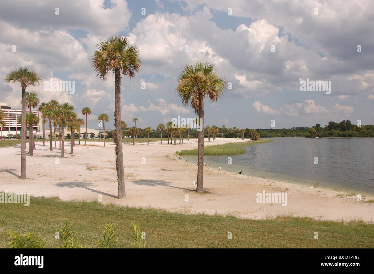 A side view of the lake with the Contemporary Resort in the background ...