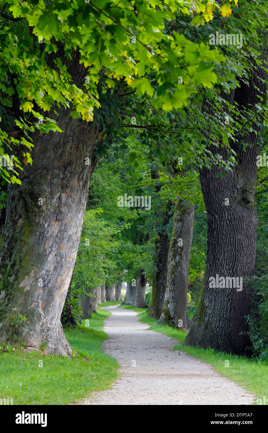 Chiemsee with chieming hi-res stock photography and images - Alamy
