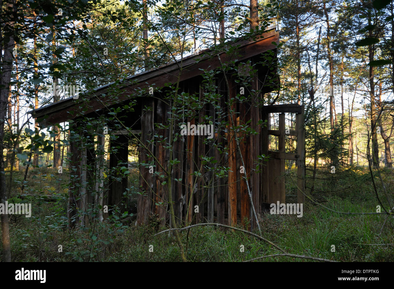 Old hut, nature reserve Lienzinger Moos, Eggstaett, Bavaria, Germany ...