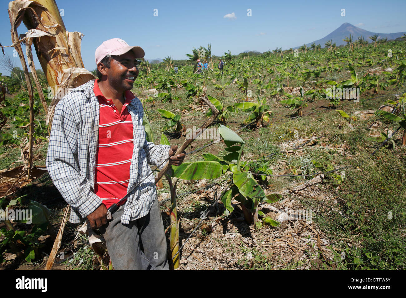 Plantation field workers, Momotombo Volcano, Nicaragua Stock Photo - Alamy