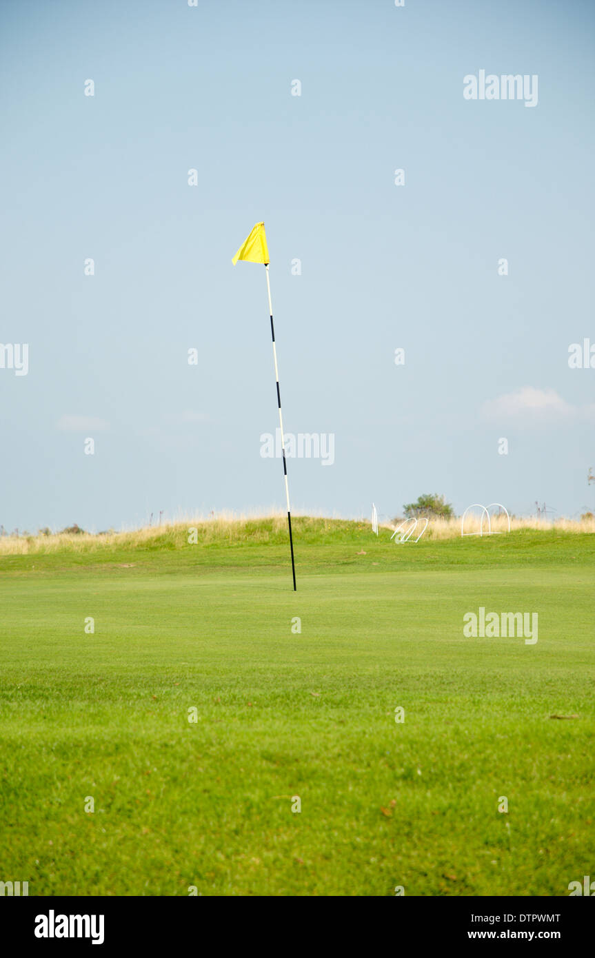 Green and yellow flag hi-res stock photography and images - Alamy