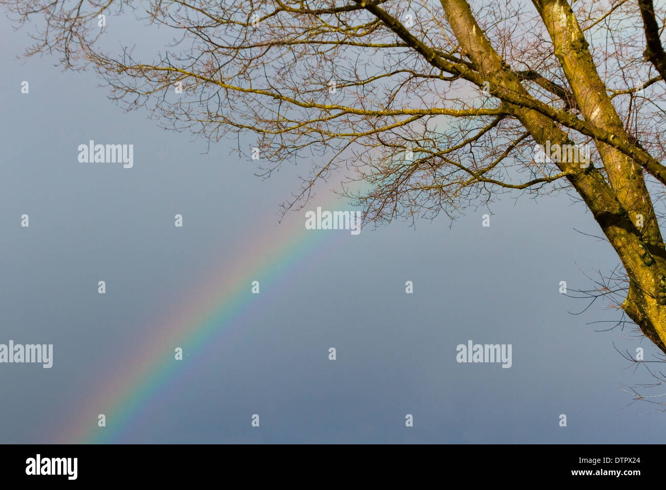 Rainbow arch hi-res stock photography and images - Alamy