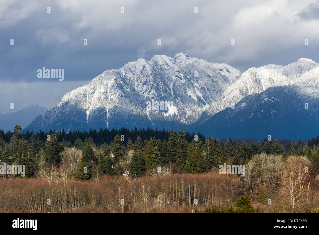 Cloud tree hi-res stock photography and images - Alamy