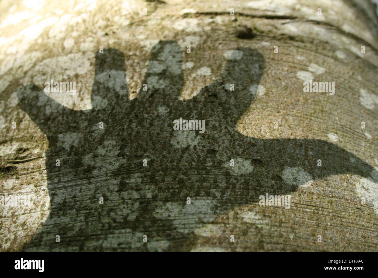 Shadow hand hi-res stock photography and images - Alamy