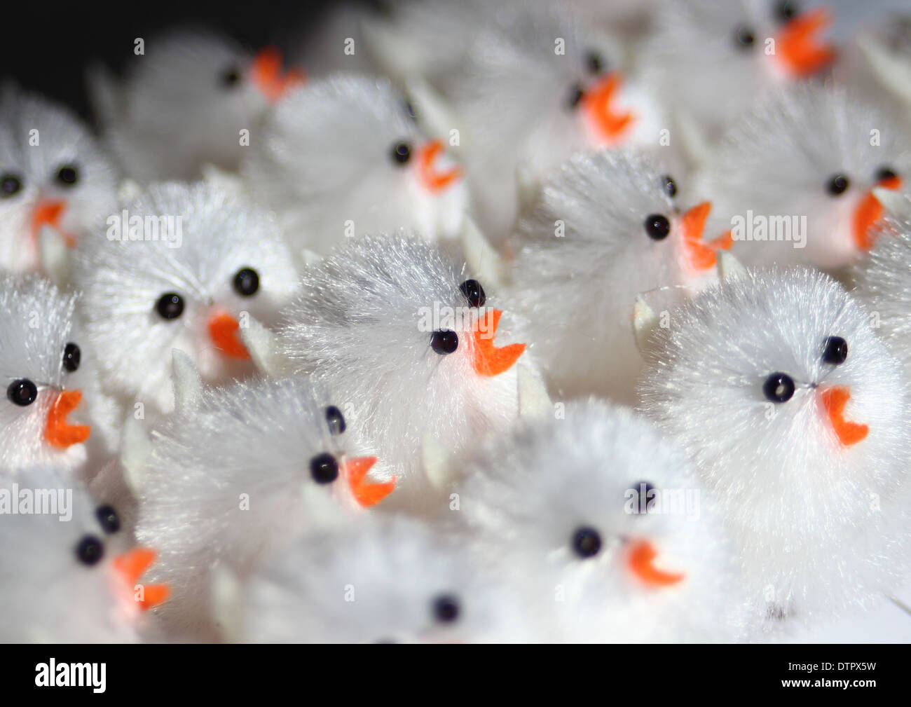 Army of fluffy white chickens looking right Stock Photo - Alamy