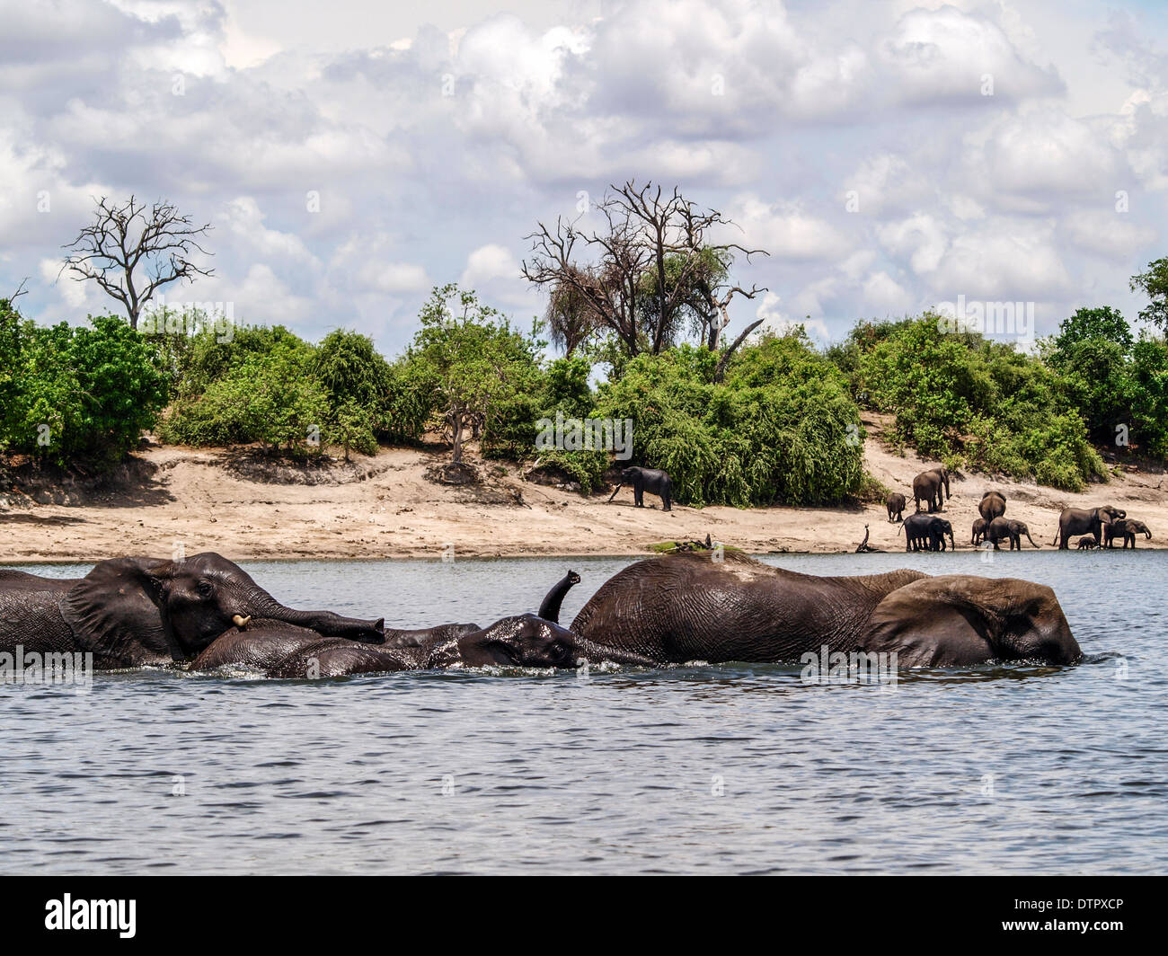 Group crossing river hi-res stock photography and images - Alamy