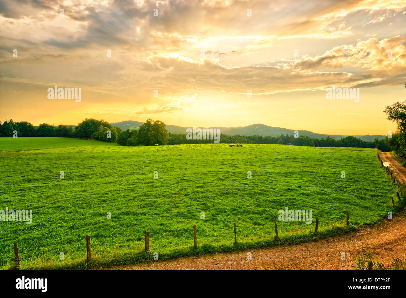 Hilly farmland hi-res stock photography and images - Alamy