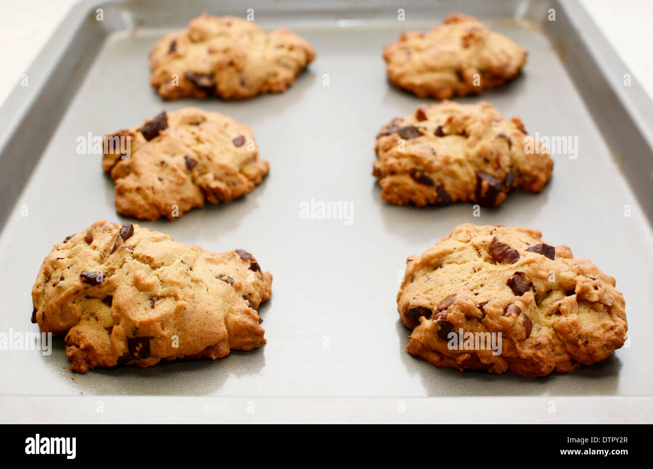 Six Chocolate Chip Cookies High Resolution Stock Photography and Images ...