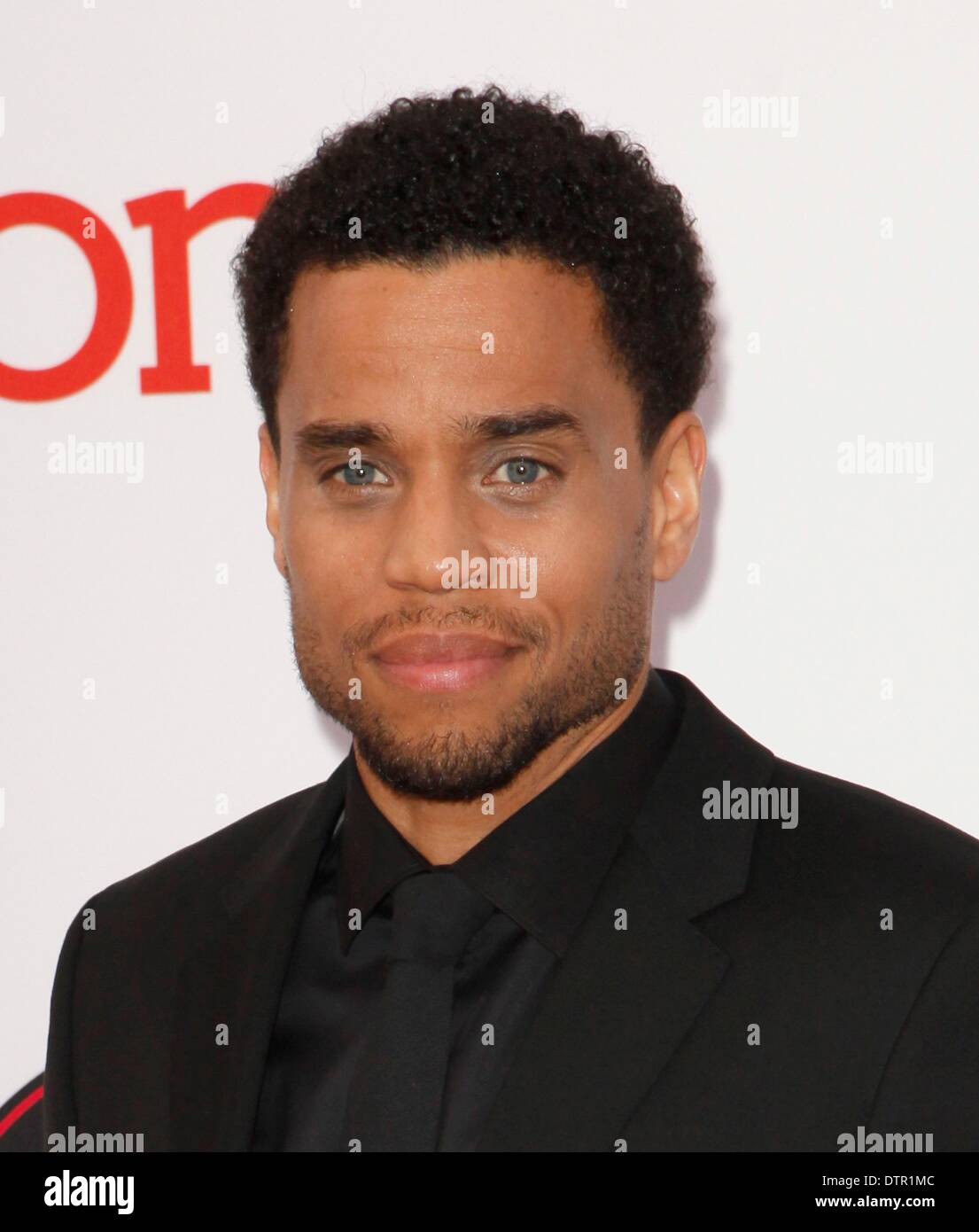 Pasadena, CA, USA. 22nd Feb, 2014. Michael Ealy at arrivals for The ...