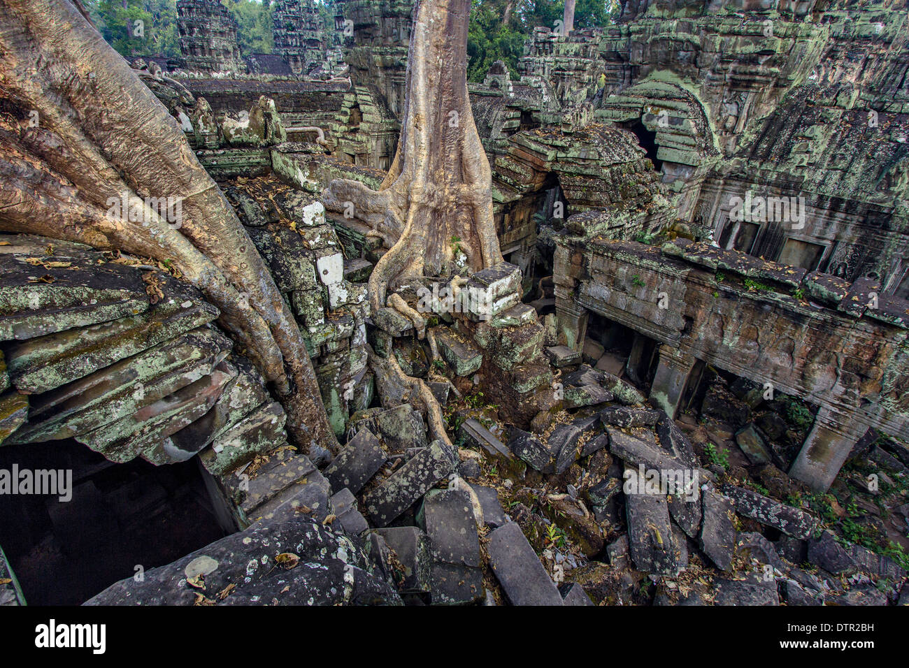 View from Ta Prohm Rooftop Stock Photo - Alamy