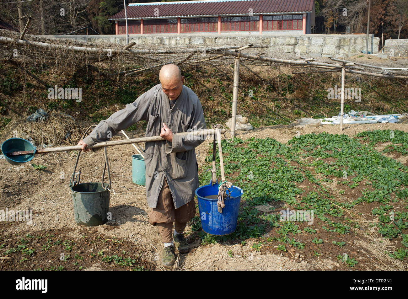 Chinese Buddhist monk grows vegetables at Yunju Temple in Jiangxi ...