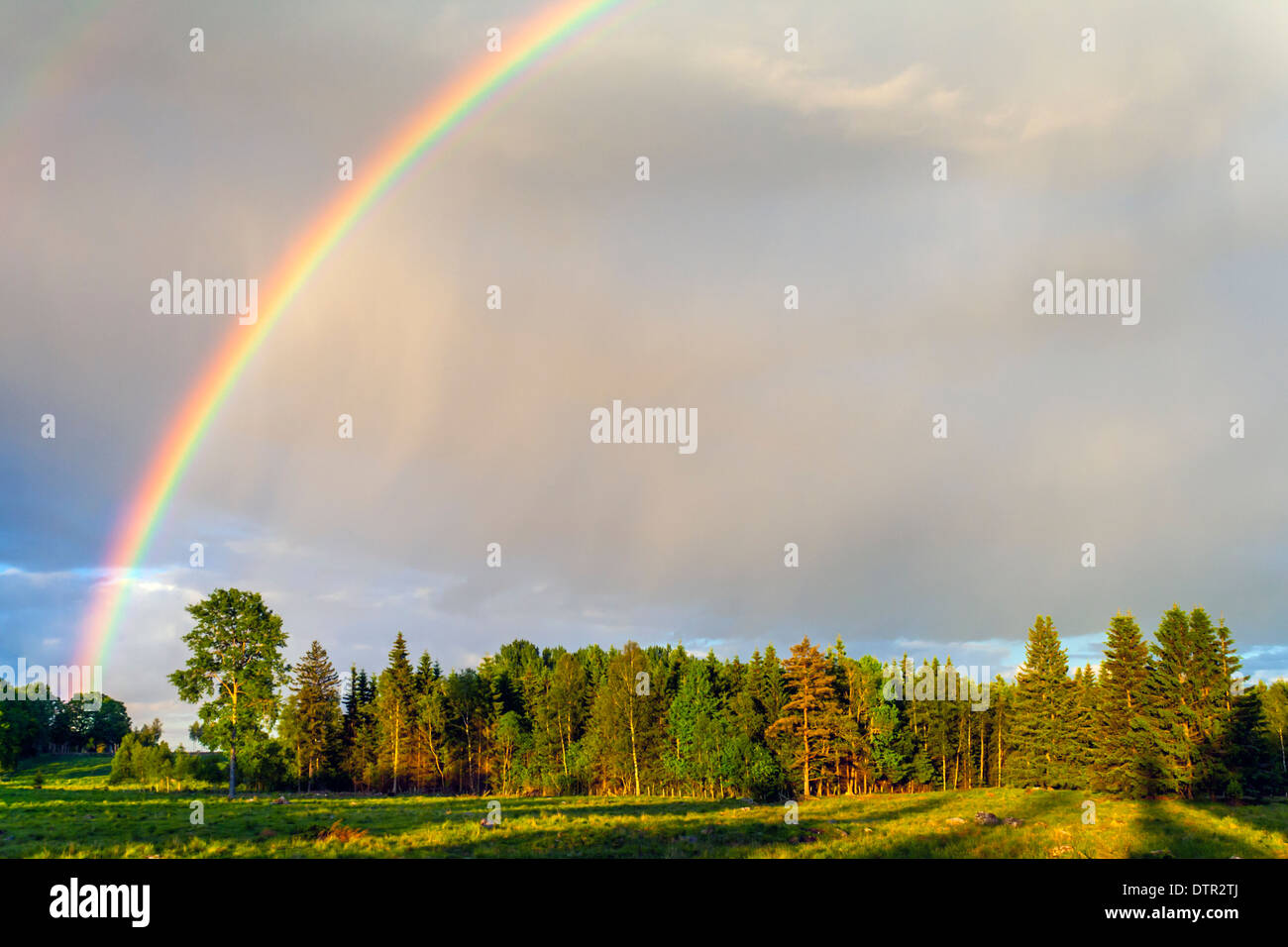 Late Evening Rainbow with Field and Trees Stock Photo - Alamy