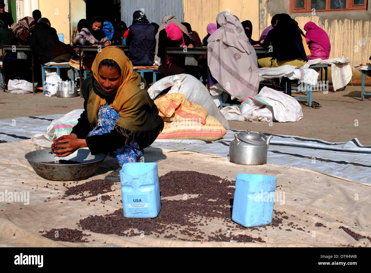 Kabul, Afghanistan. 23rd Feb, 2014. Afghan girls work at a raisin ...