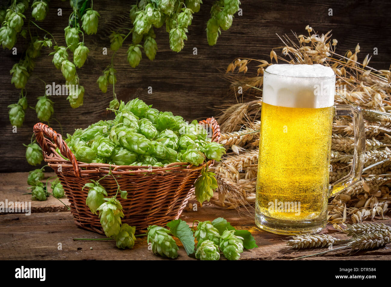 Basket of hops hi-res stock photography and images - Alamy