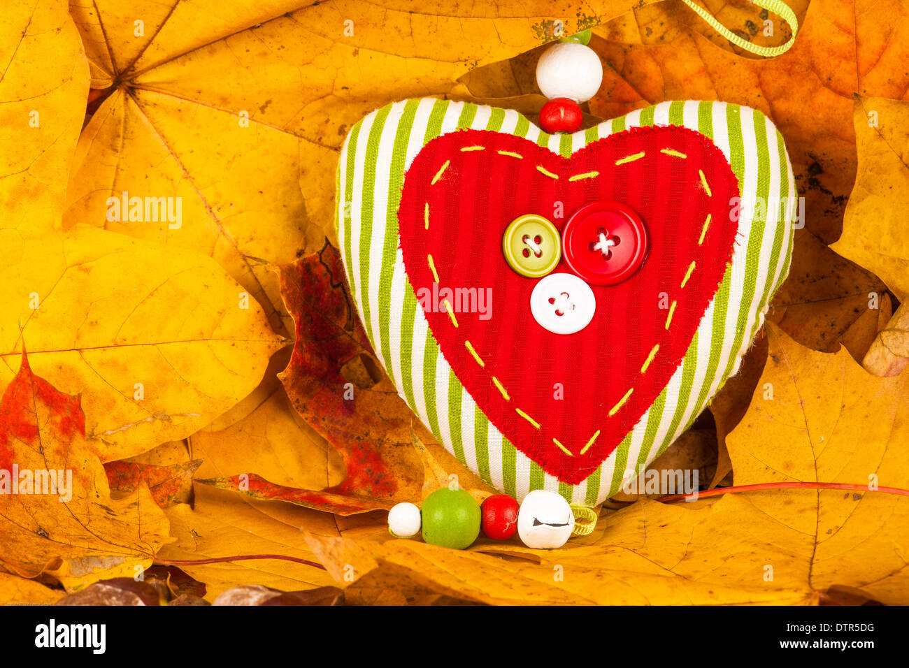 Heart lining on autumn leaves Stock Photo - Alamy