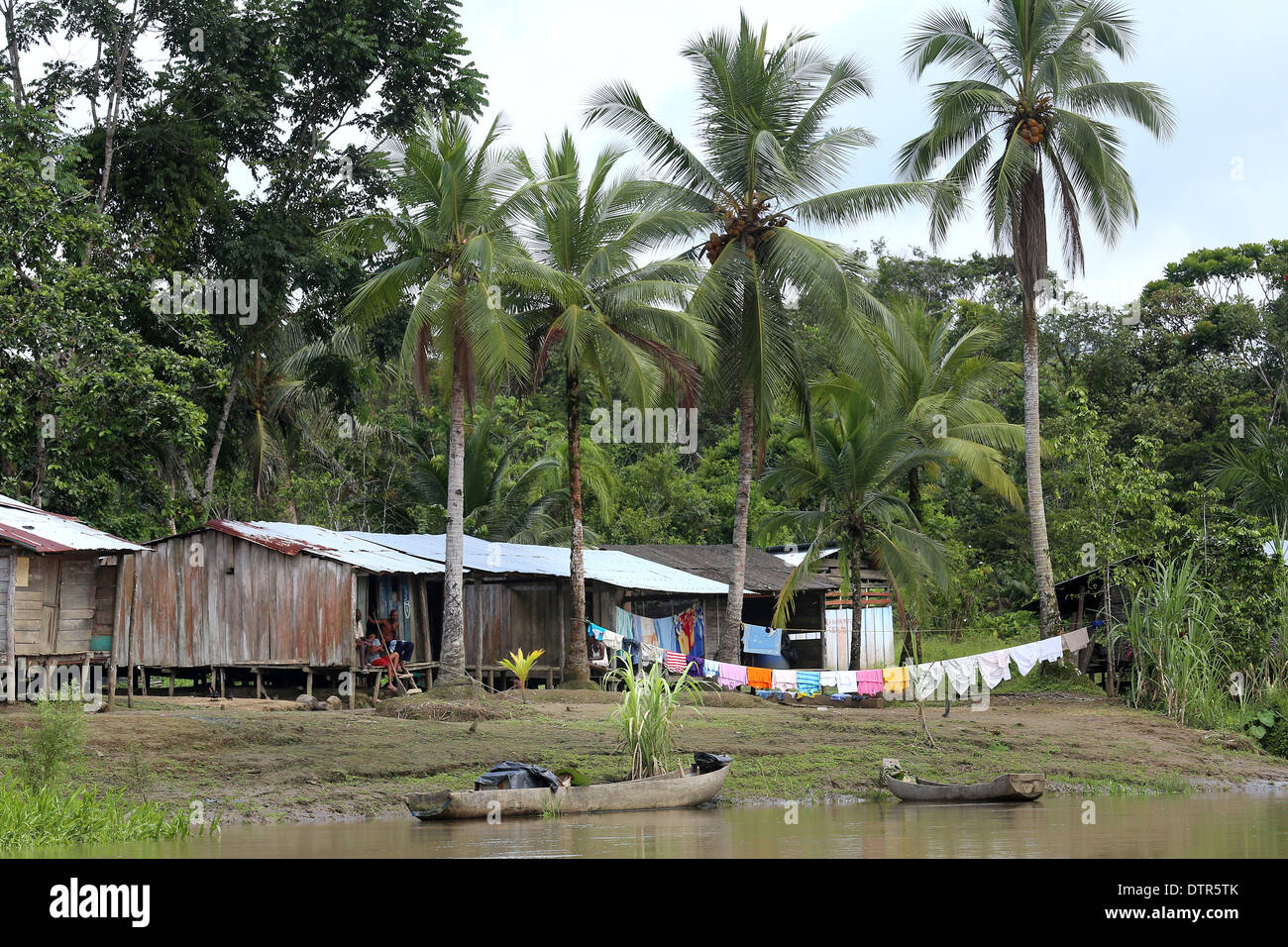 Huts of a village in the rain forest, river Rio Baude, Choco Province ...