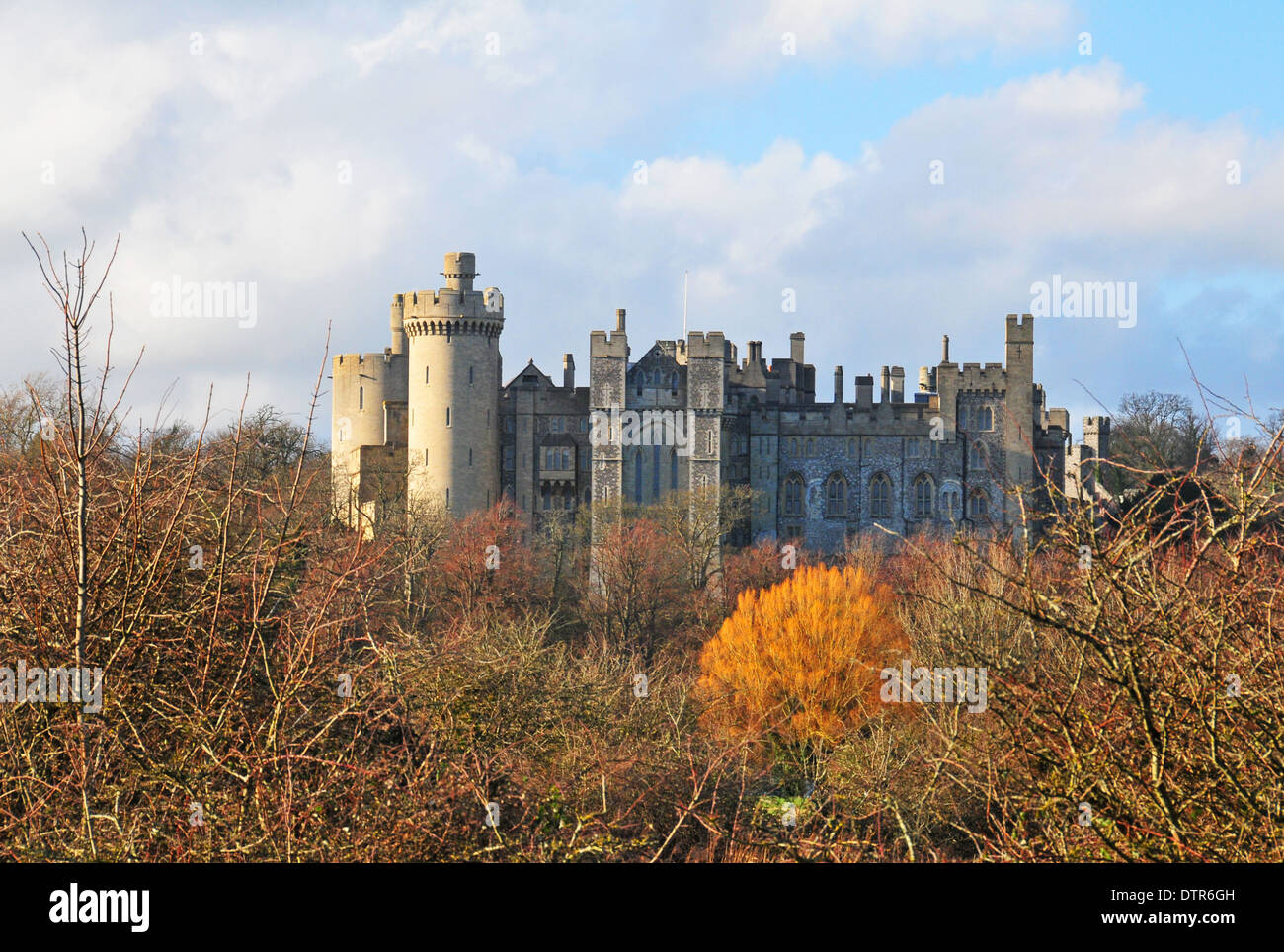 Castle through trees hi-res stock photography and images - Alamy