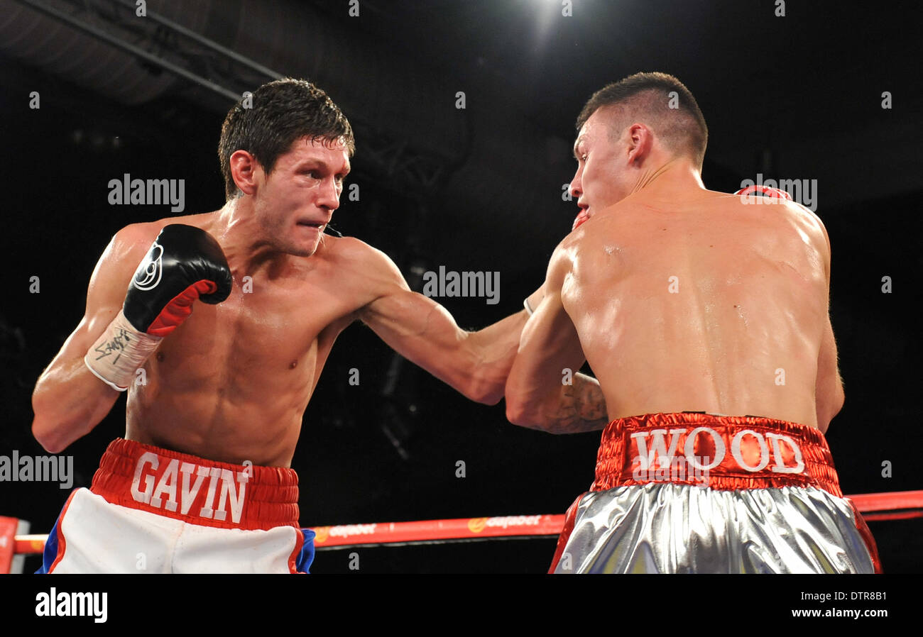 Gavin mcdonnell hi-res stock photography and images - Alamy