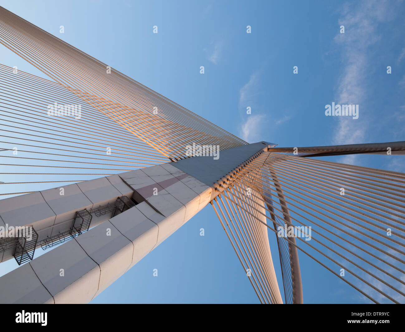 A view of the Seri Wawasan Bridge, one of the main bridges in Putrajaya ...