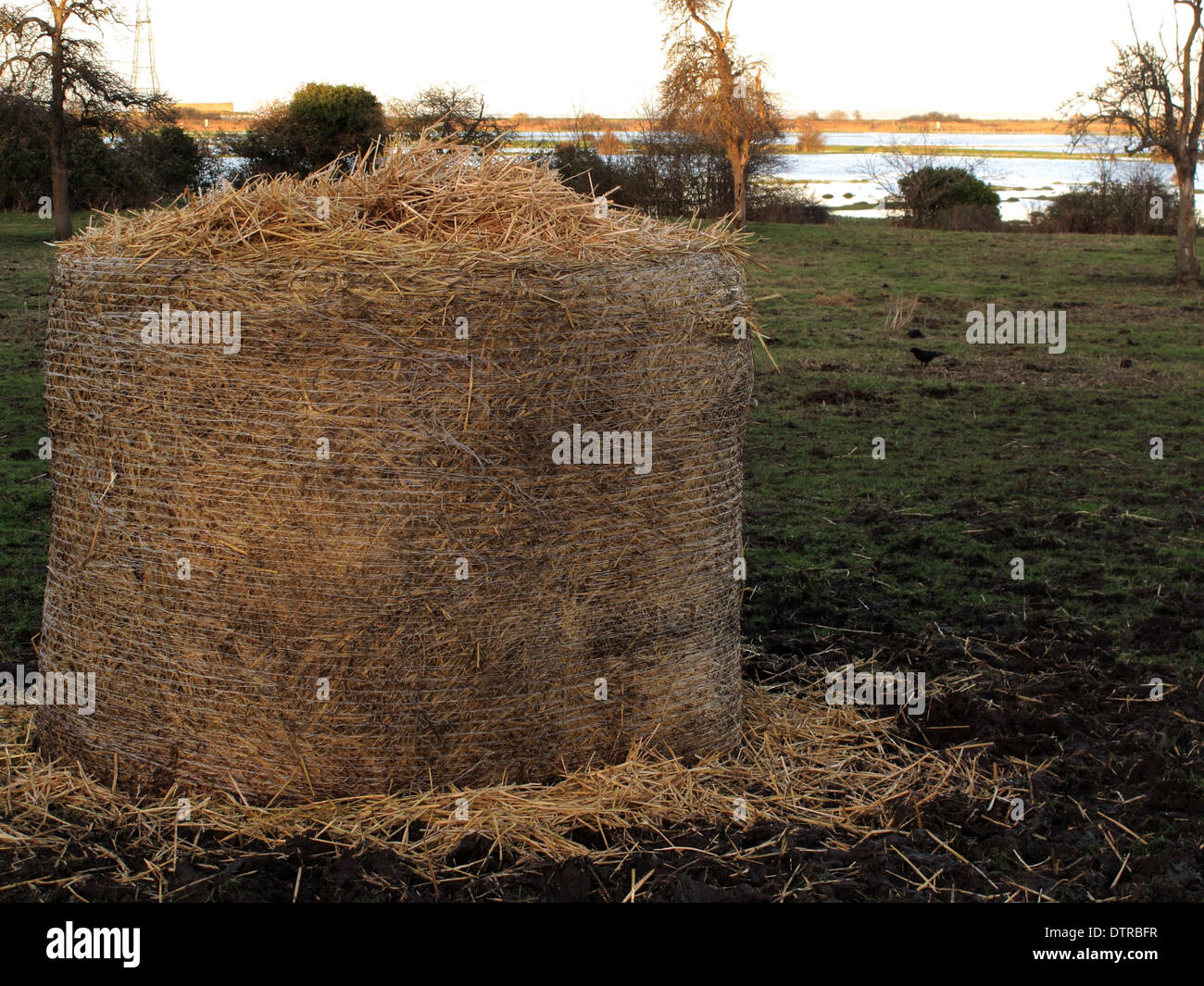 Hayroll hi-res stock photography and images - Alamy