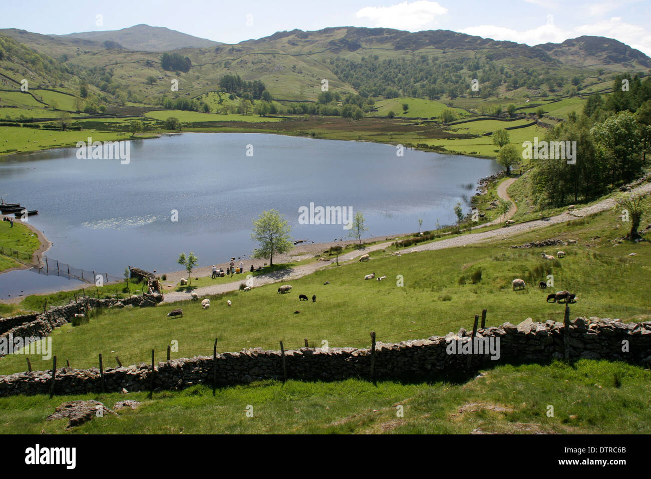 Watendlath Tarn Cumbria England UK Stock Photo - Alamy