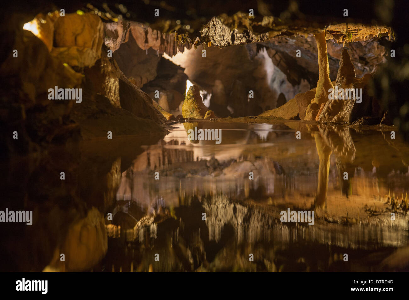 Cheddar cave stalactites stalagmites hi-res stock photography and ...