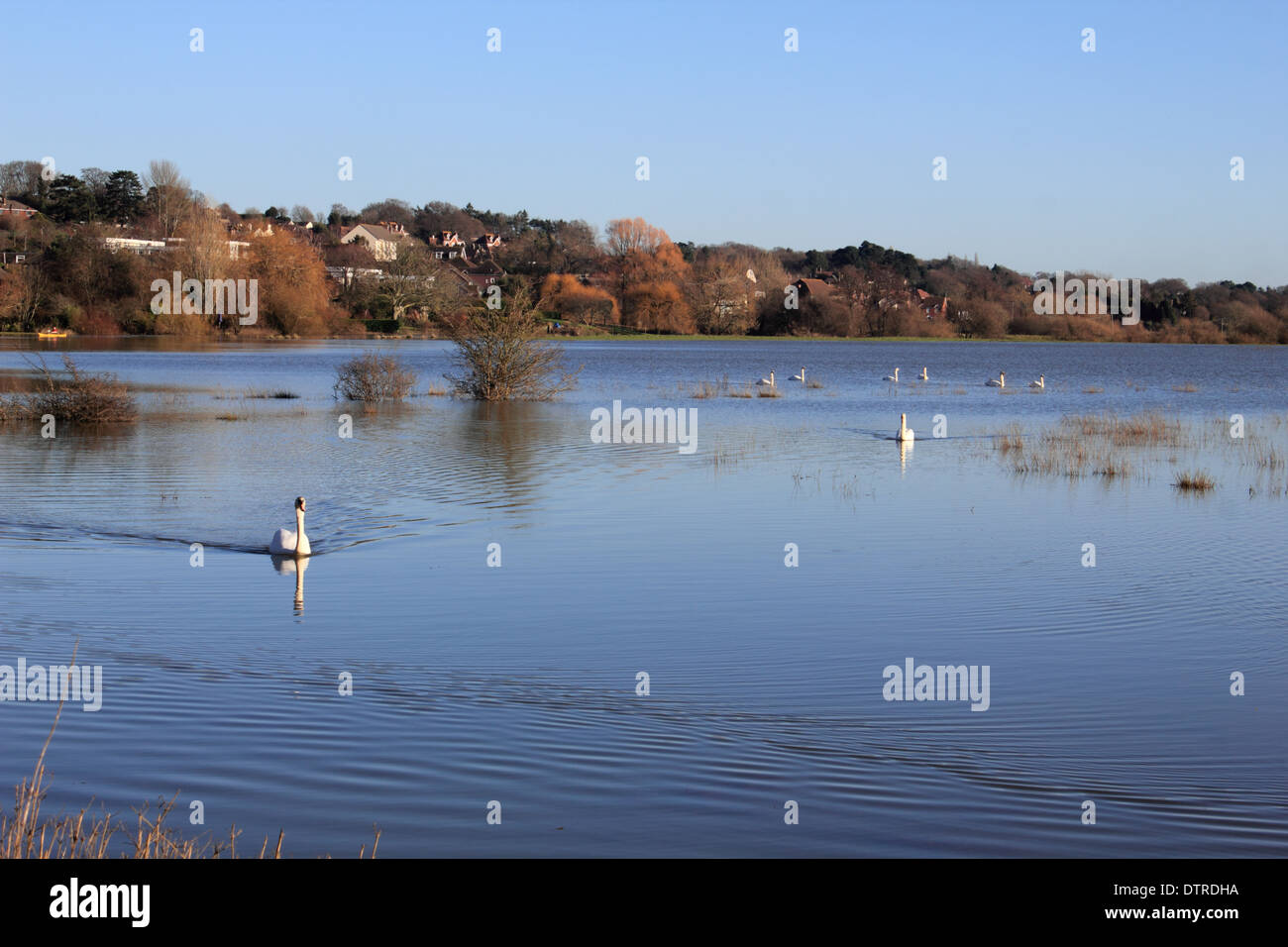 Pulborough, West Sussex, England, UK Stock Photo - Alamy