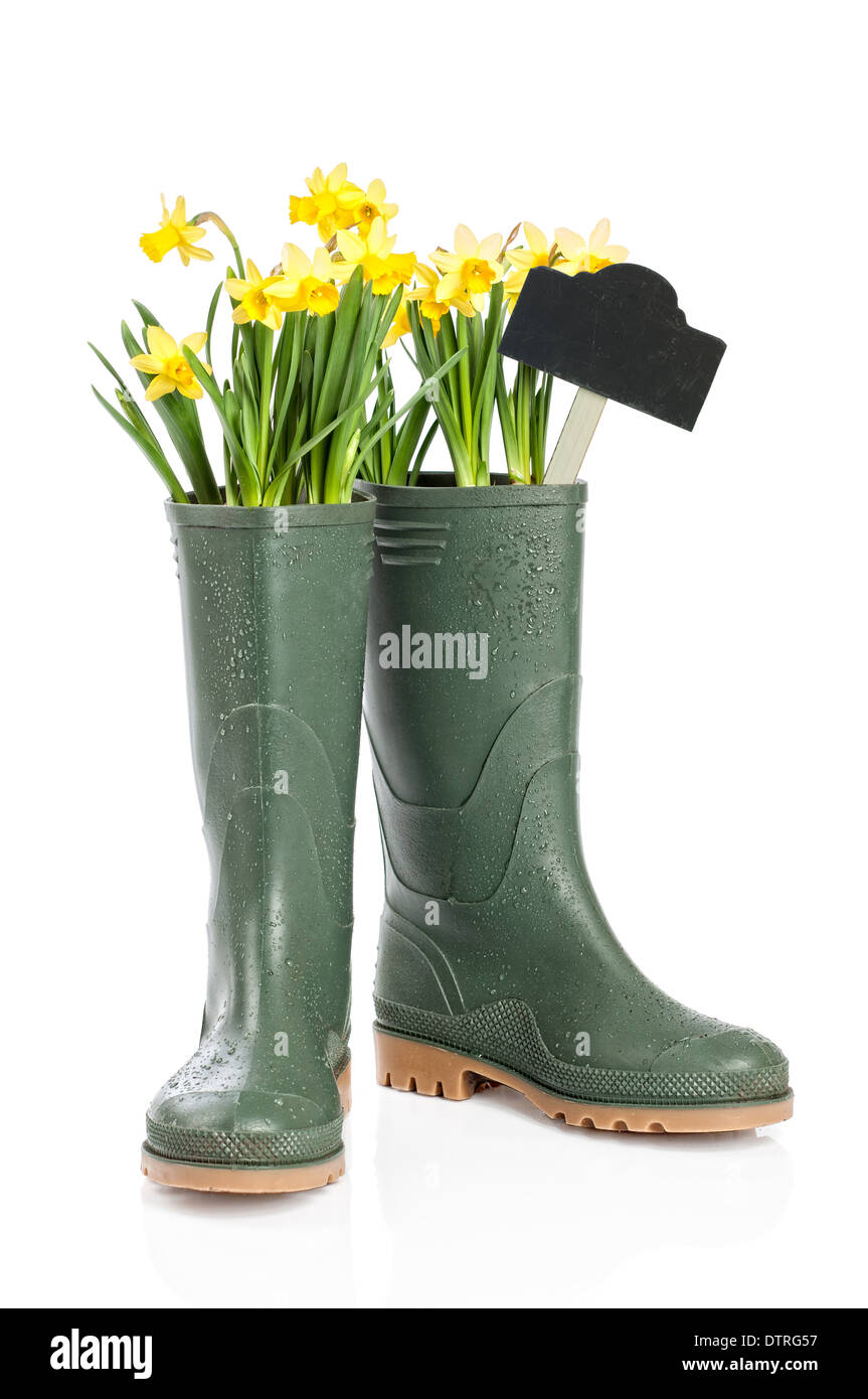 Boots in garden Cut Out Stock Images & Pictures - Alamy