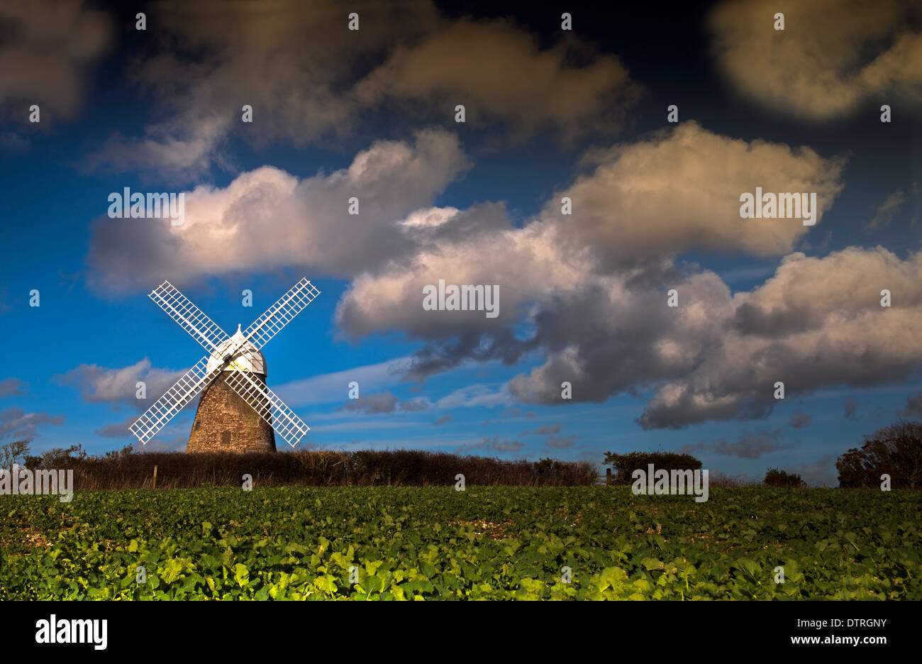 Halnaker windmill, sussex hi-res stock photography and images - Alamy