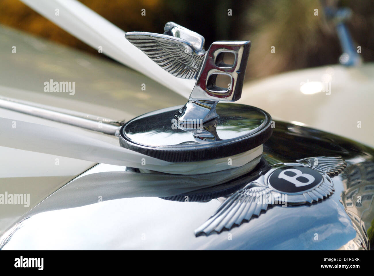 Bentley motor car used to carry the bride to her wedding Stock Photo ...