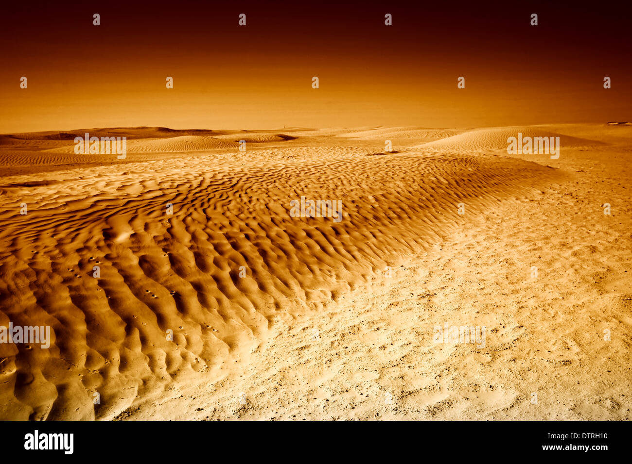 Desert dunes of Sahara at the gateway to the Sahara near the town Douz ...