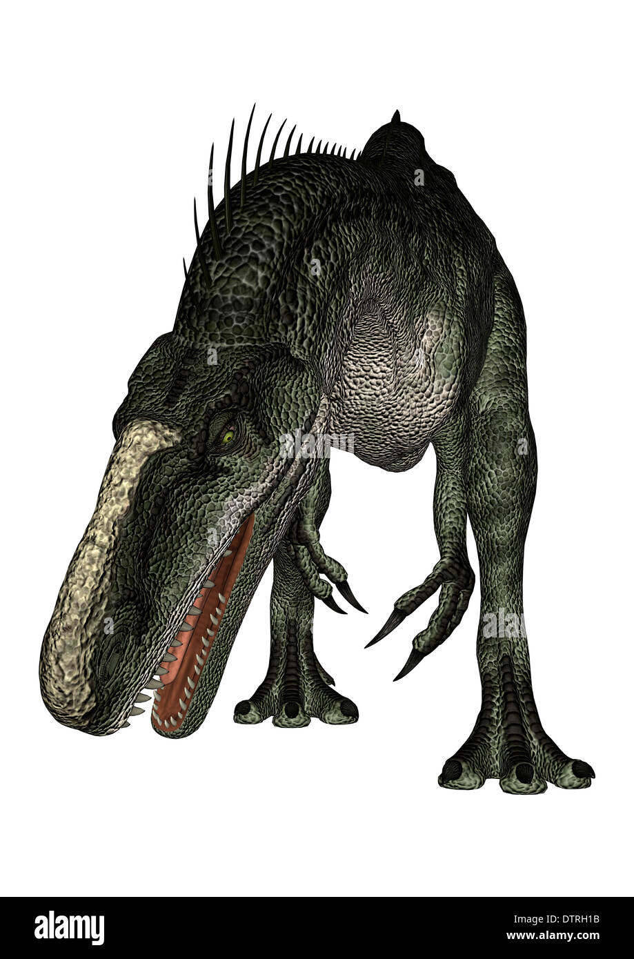 3D digital render of a walking dinosaur Monolophosaurus isolated on ...