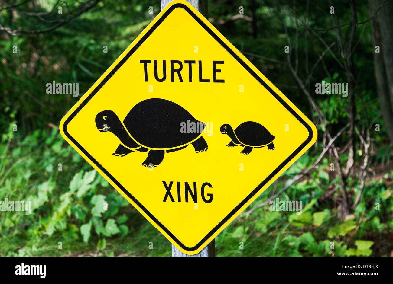 Turtle crossing sign hi-res stock photography and images - Alamy