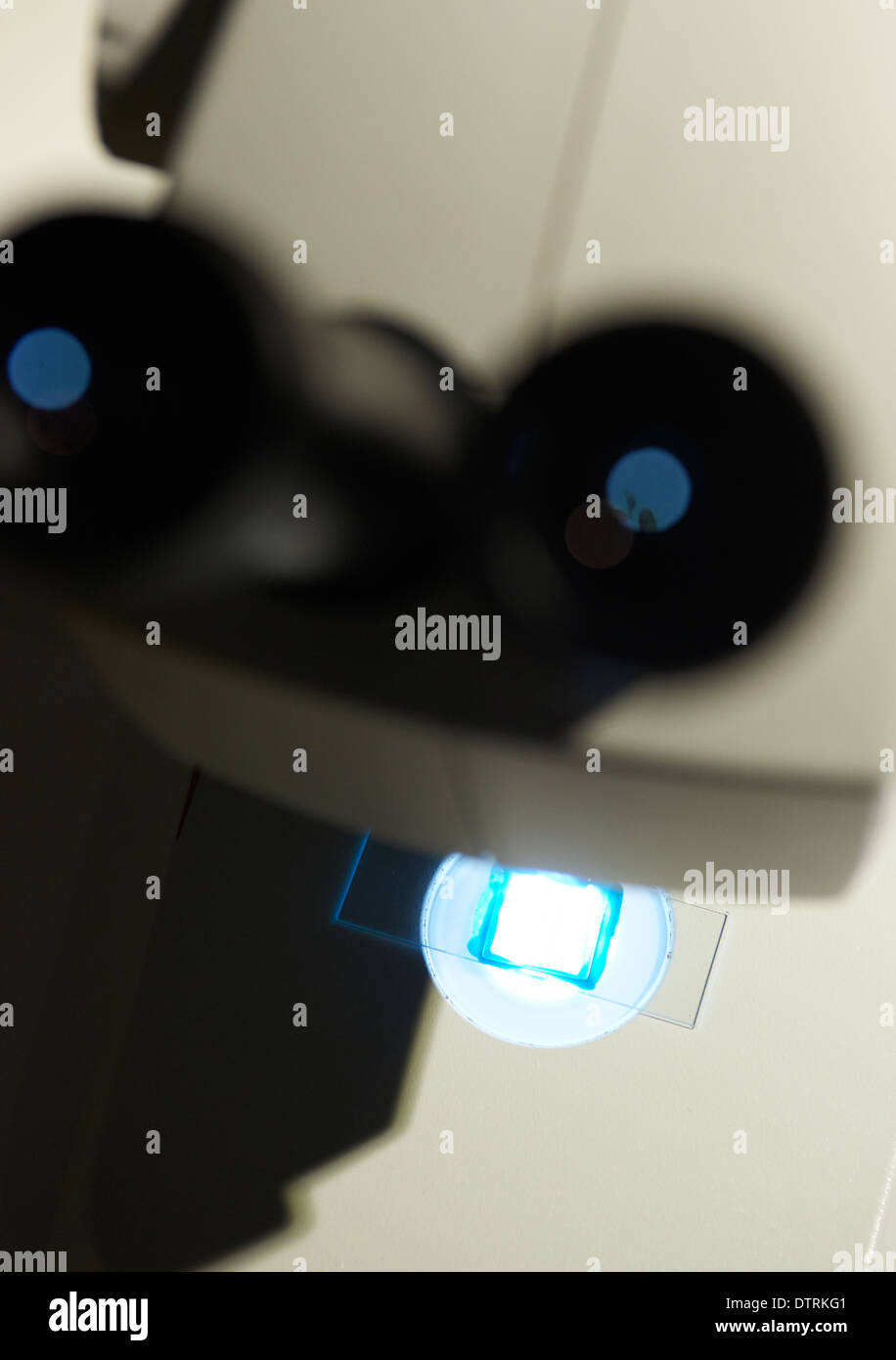 Slide under microscope, close-up Stock Photo - Alamy