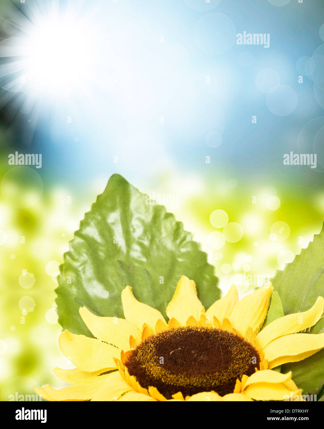 Spring concept - Colorful spring background with sunflowers and blue ...