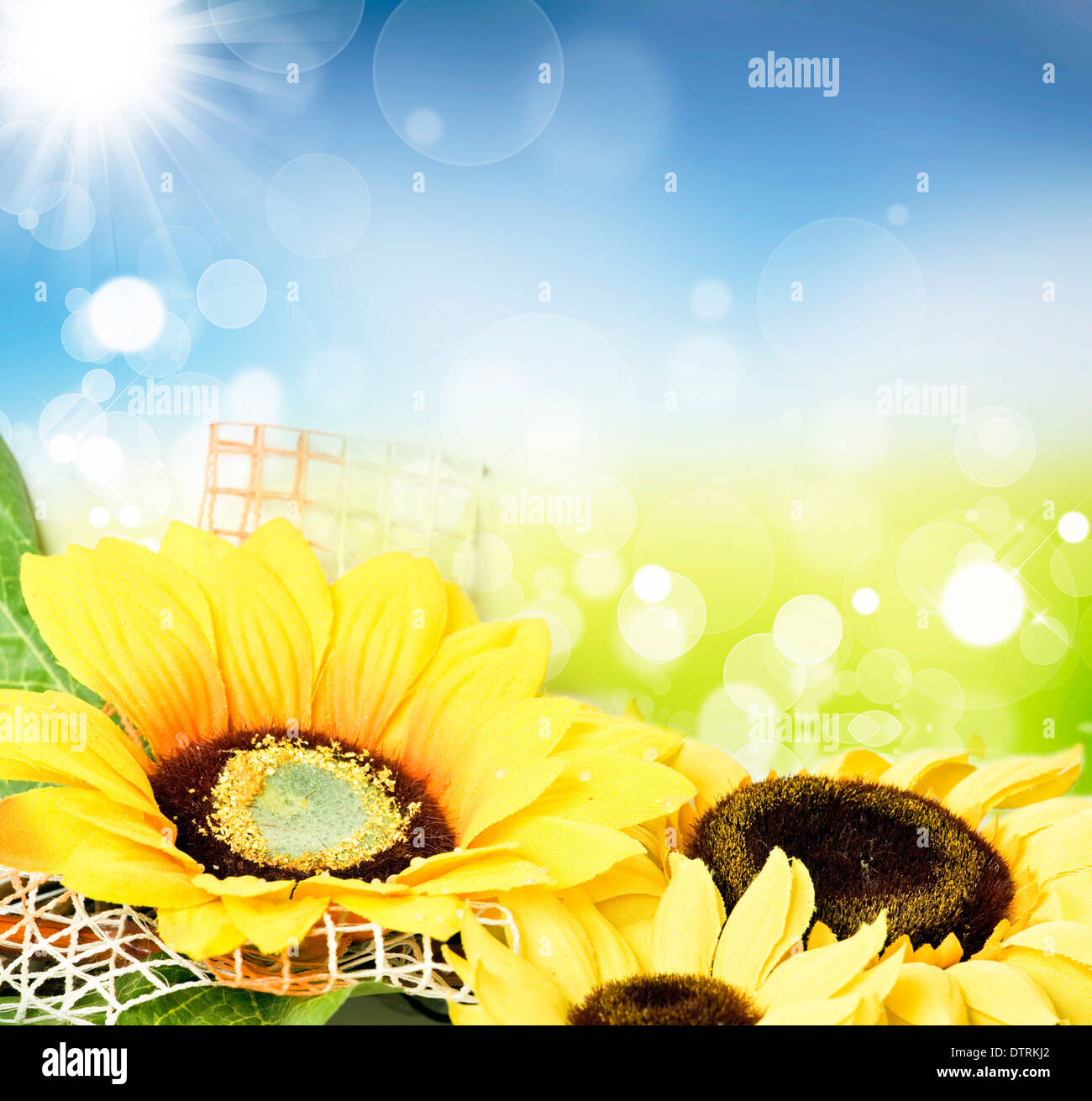 Spring concept - Colorful spring background with sunflowers and blue ...