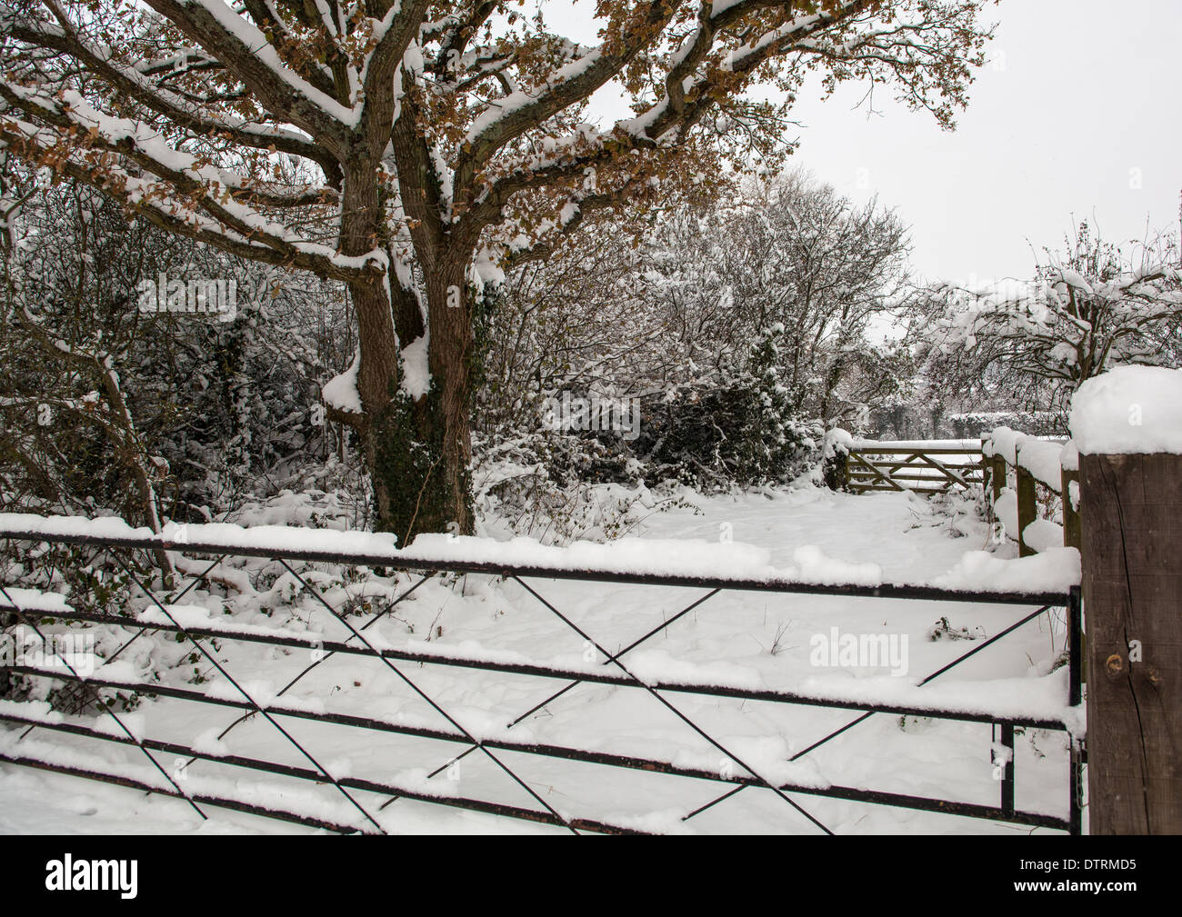 Snowy Farm gateway Stock Photo - Alamy