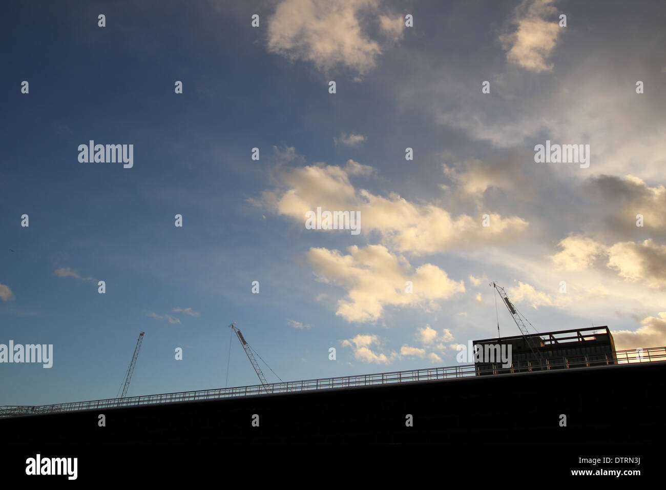 Succinct hi-res stock photography and images - Alamy