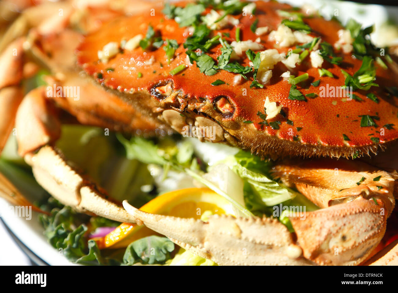 Cooked crab hi-res stock photography and images - Alamy