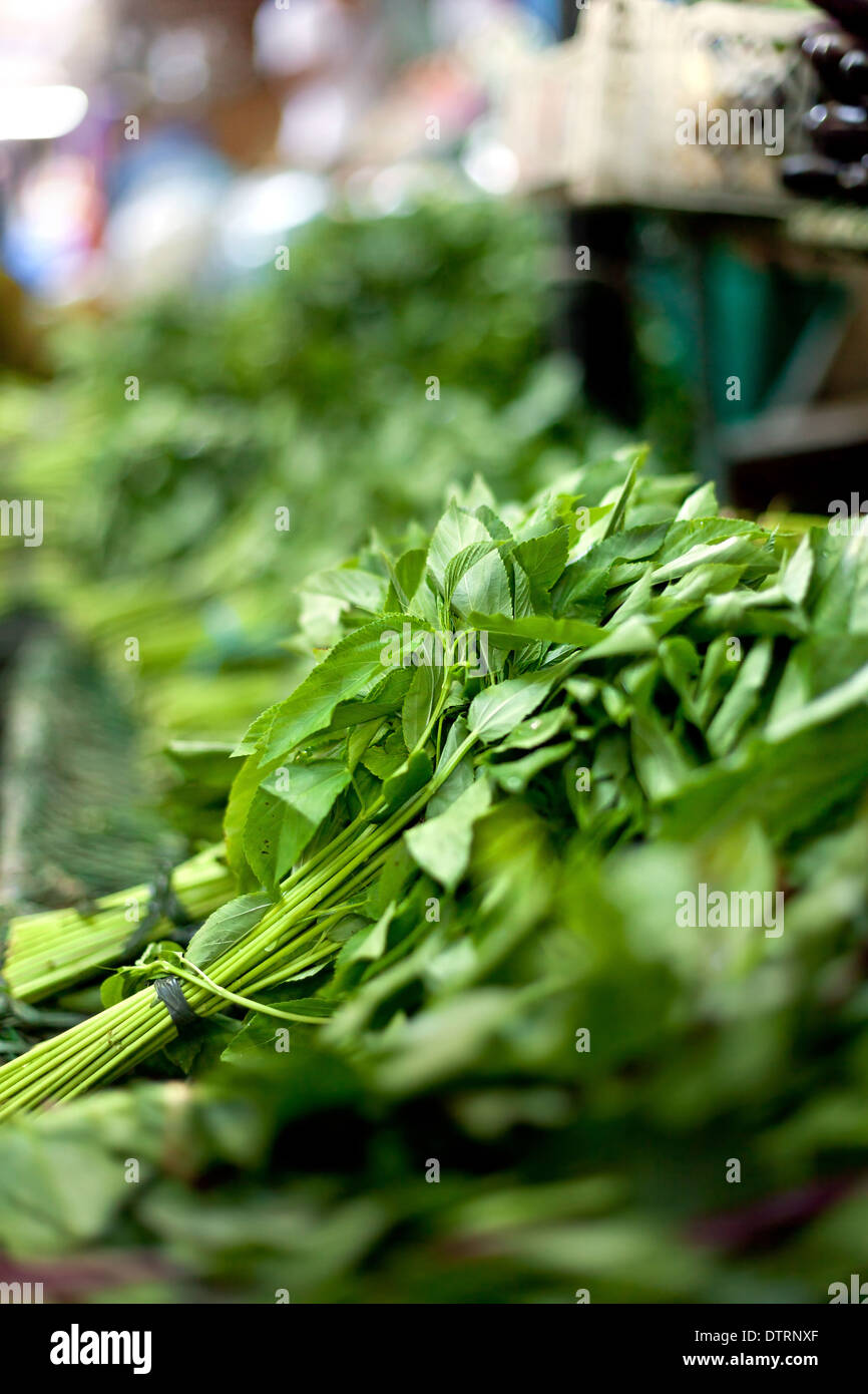 Morning glory vegetable on sale at local Philippines market Stock Photo ...